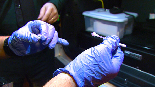 Highway to Jail, Show 2813, COPS TV Show – COPS